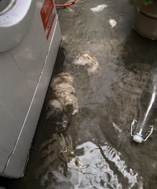 High flood levels cause sewer overflow on Botley Rd | oxford flood alliance
